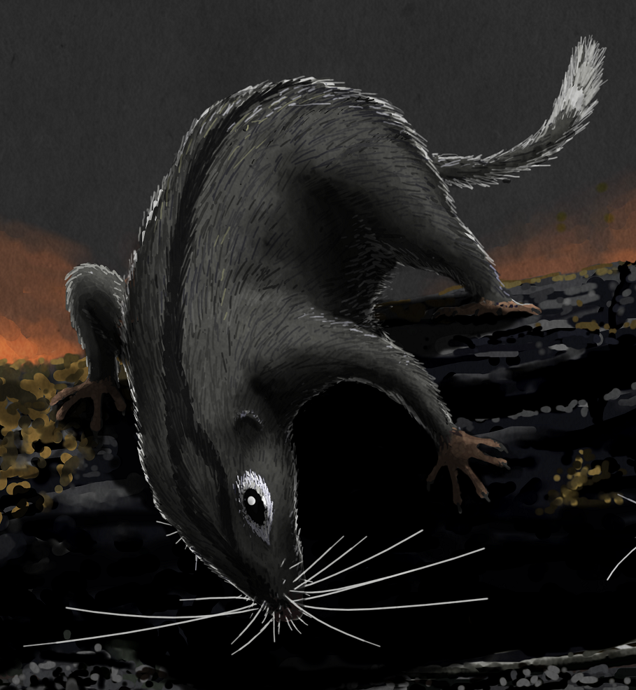 Mark P. Witton's Blog: You won't believe how interesting the Mesozoic ...