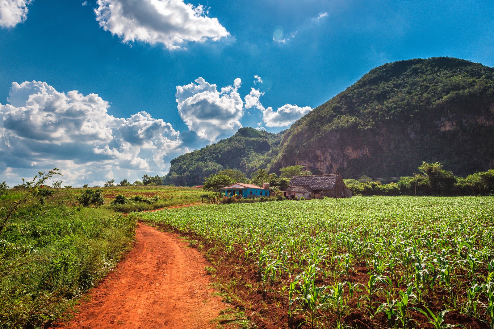 Ben Davis Photography: Two weeks in Cuba – Havana, Vinales & Trinidad