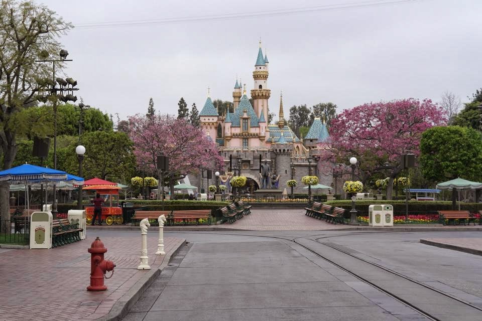 Viaje a Disneylandia (Parte 4)