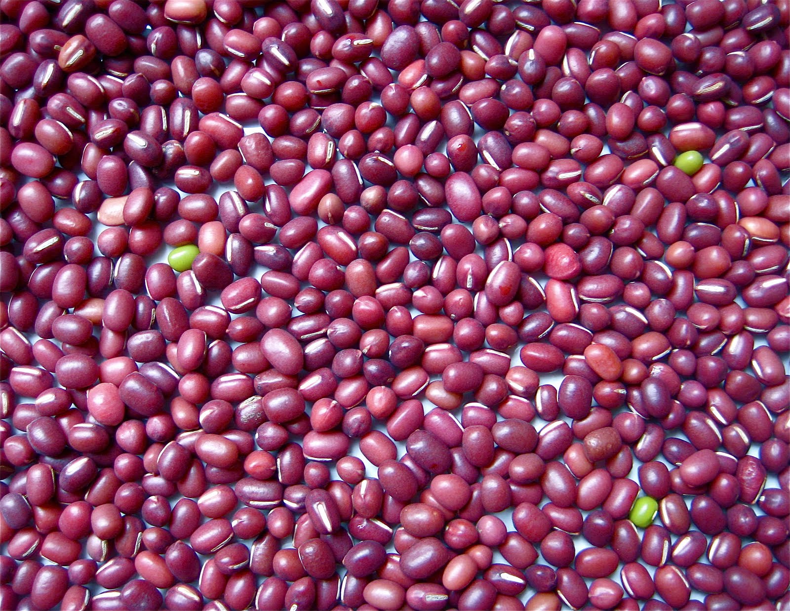 lisa b wellness: Azuki? The Small Red Bean