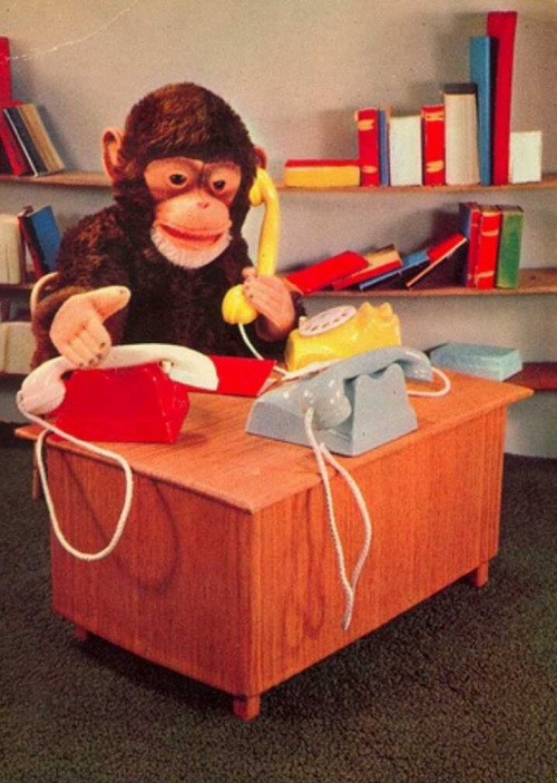I Have Seen The Whole Of The Internet: Busy Monkey