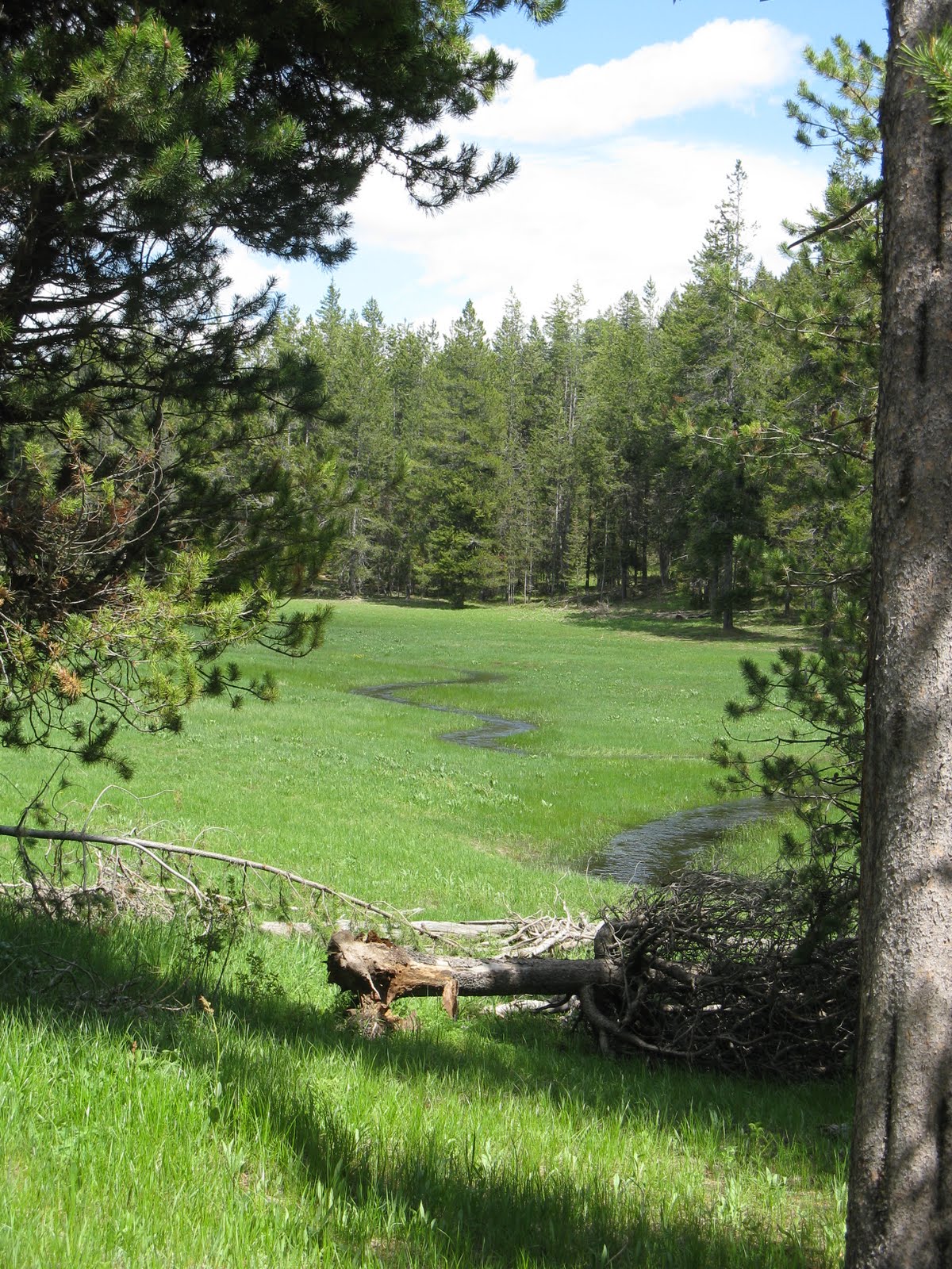 Jeep Summer Tour 2011