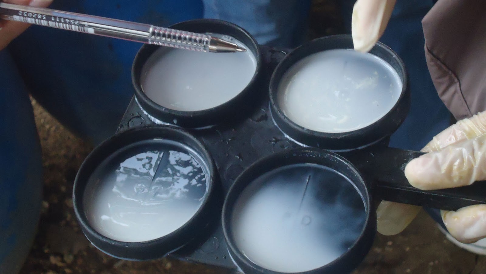 ELECTIVA III - Manejo Higenico-Sanitario del Hato Lechero: PRACTICA DE ...