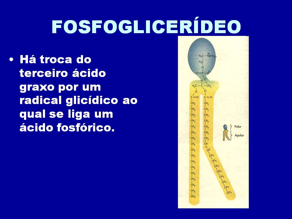 Professor Valfrido Junior: Biologia