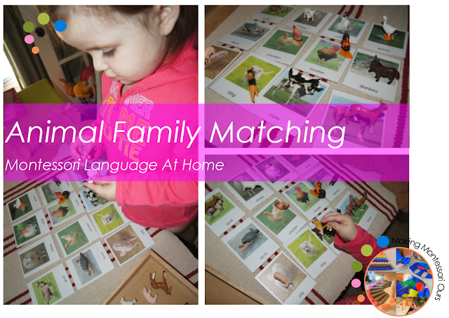 Animal Family Matching, Montessori Language At Home - "Making ...