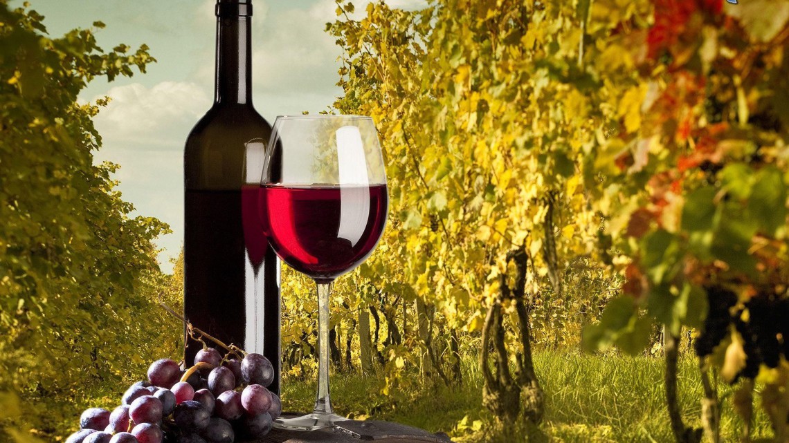 FOGLIE: La filiera vitivinicola italiana vale oltre 7 miliardi