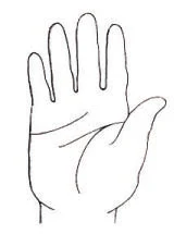 EASY PALMISTRY LESSONS FOR BEGINNERS ~ INDIAN PALMISTRY | PALM READING ...