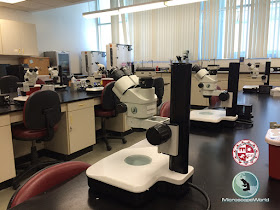 Microscope World Blog: University Microscope Lab