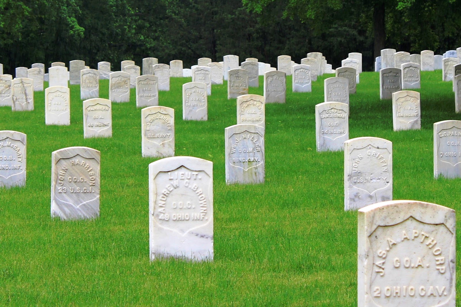 To Behold the Beauty: A Day Out with Friends (And A New Camera)