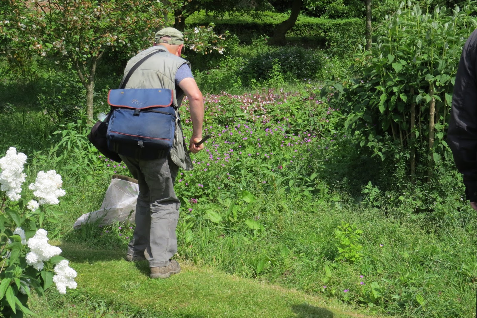 Ragged Robin's Nature Notes: A Bee Talk and Walk led by Steven Falk at ...