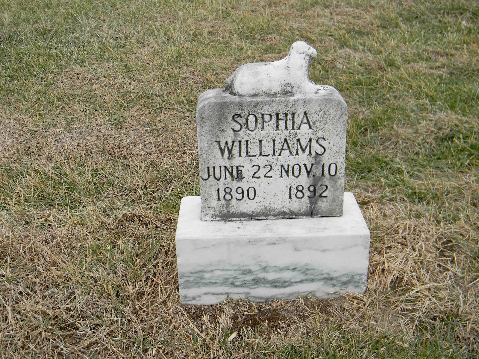 A Grave Interest: Gravestone Inscriptions – The Final Say