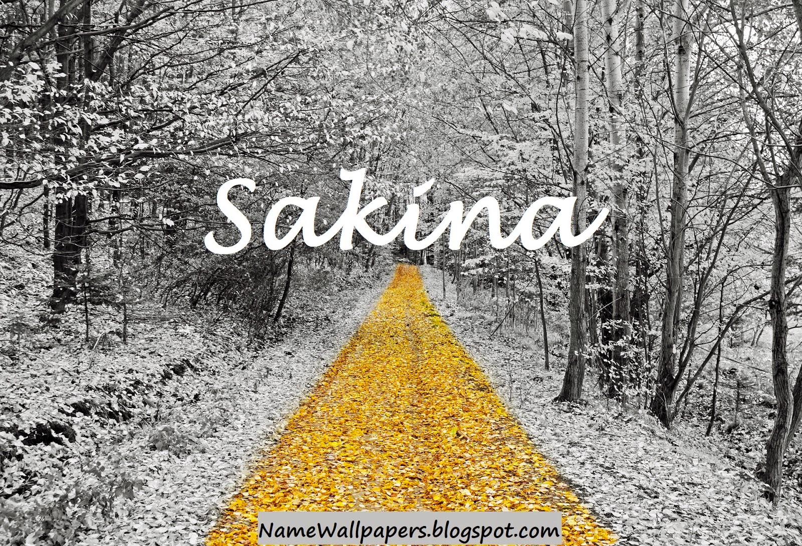 Sakina Name Wallpapers Sakina ~ Name Wallpaper Urdu Name Meaning Name ...