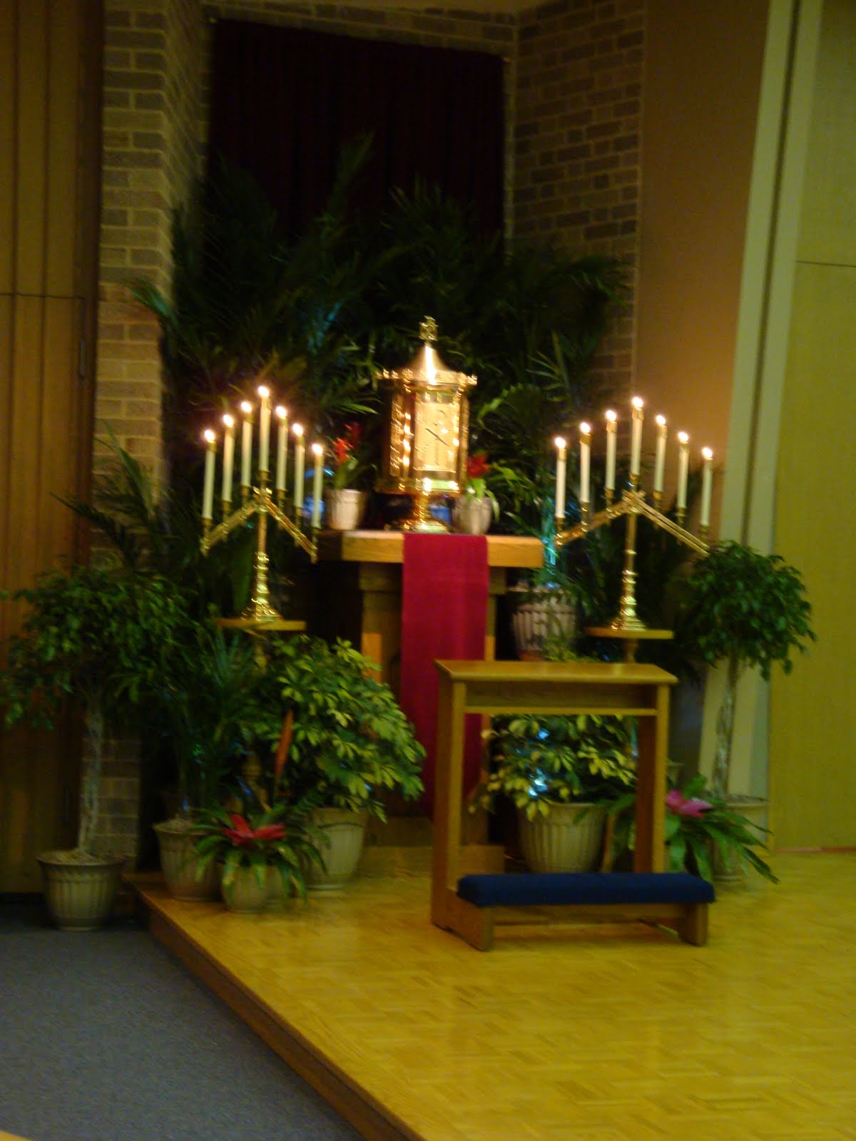Layers-A Catholic Mom's Musings: Altar of Repose - Holy Thursday ...