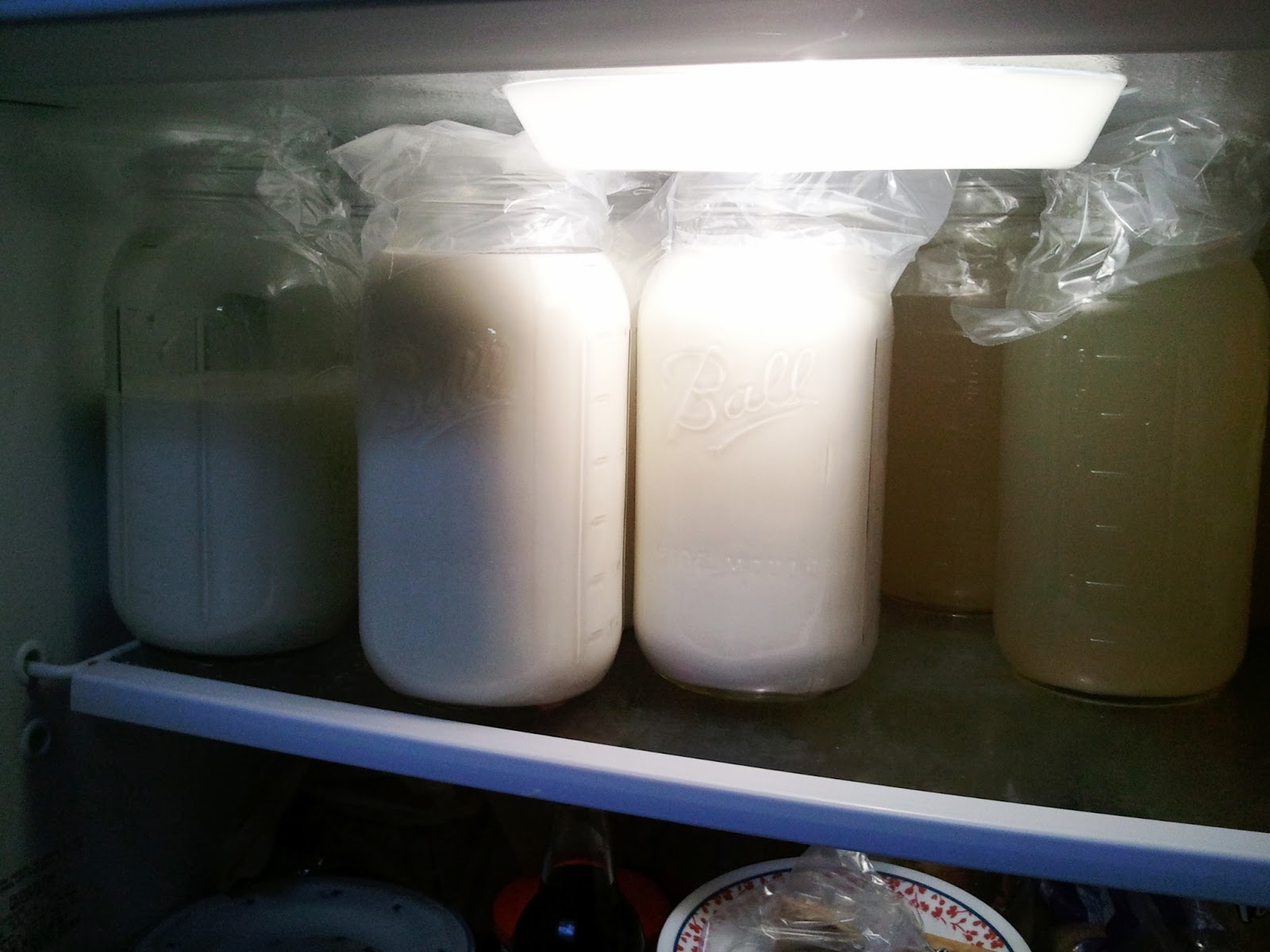 Sanctuary Farm: Got Goat Milk?