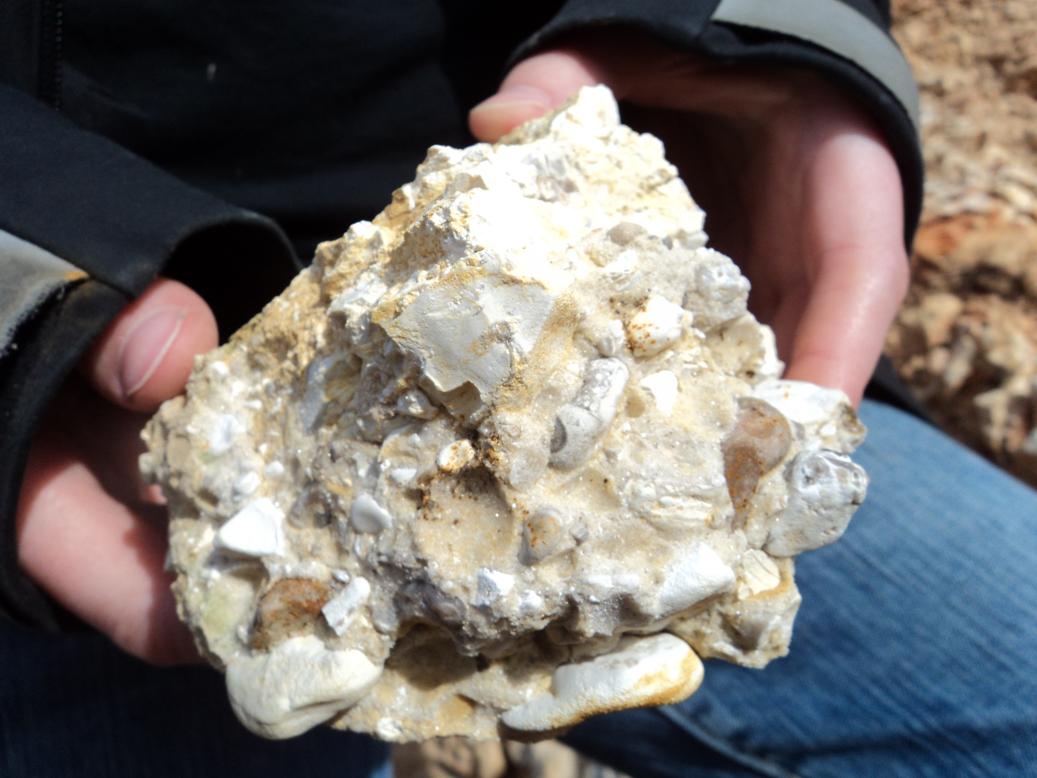 Aerial Geologist: Missouri AAPG Trip - Bennett Spring, Decaturville ...