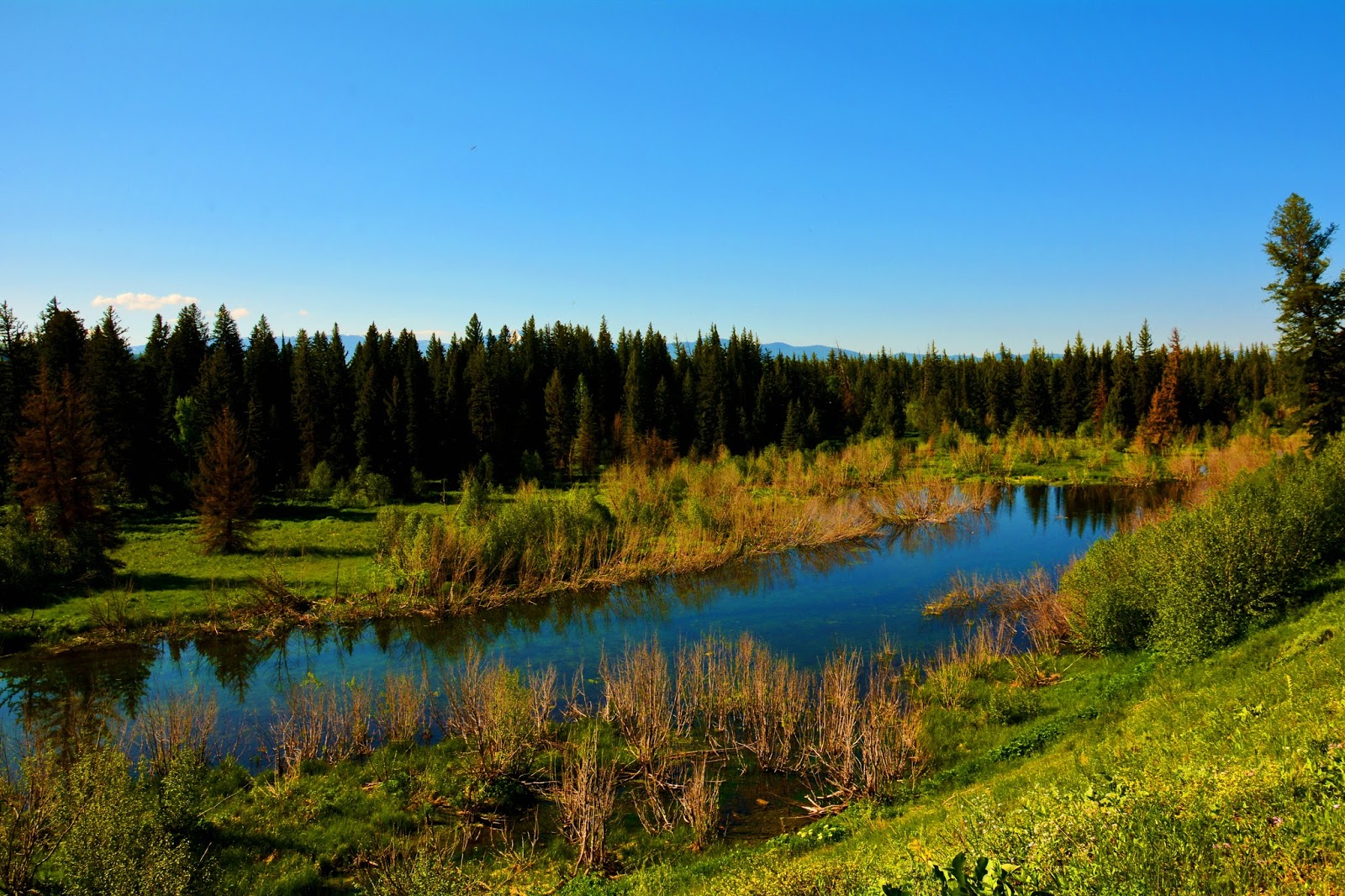 PL Fallin Photography: Sawmill Pond Overlook at Moose-Wilson Road