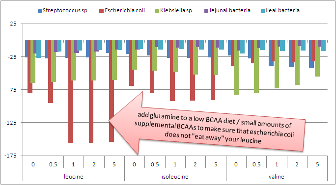 Use Glutamine to Heal the Gut and Hinder Your Gut Bacteria from Eating ...