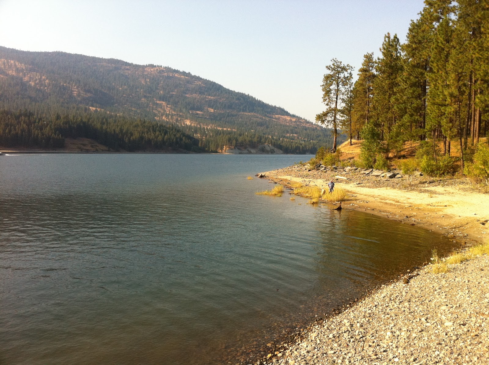 TASTE OF HAWAII: COLVILLE, WASHINGTON