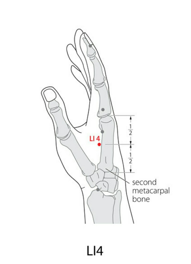 SaroEpic Acupuncture : Source points