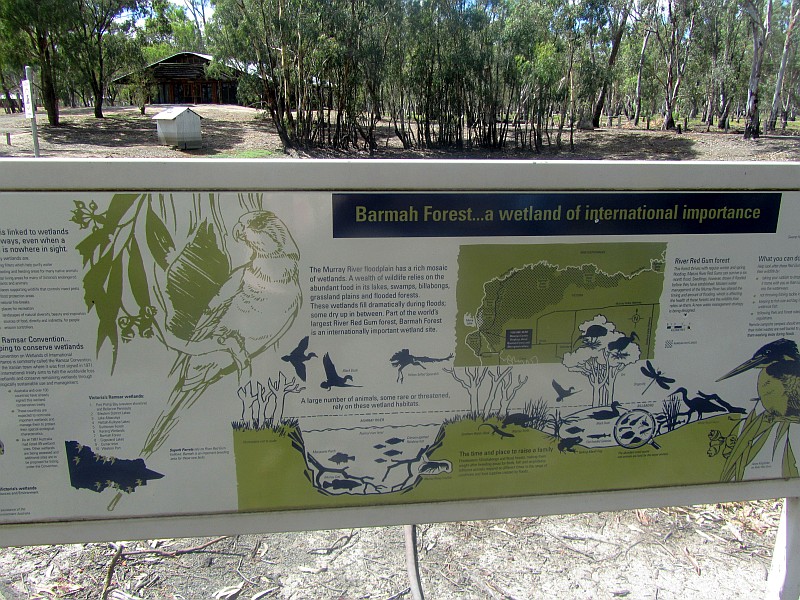 TRACKS, TRAILS AND COASTS NEAR MELBOURNE : Barmah National Park ...