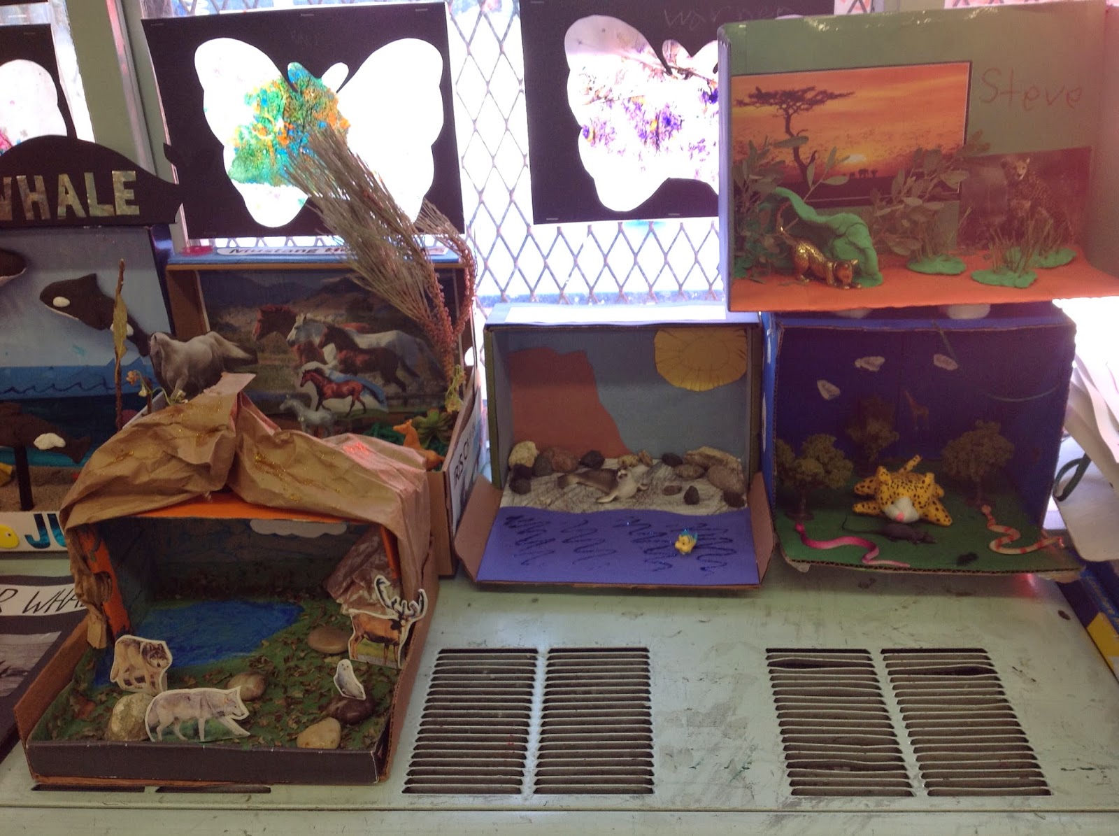 Animal Report and Diorama Projects