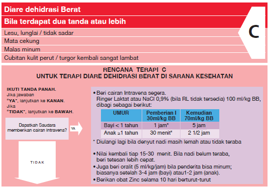Terapi A Diare - Perumperindo.co.id