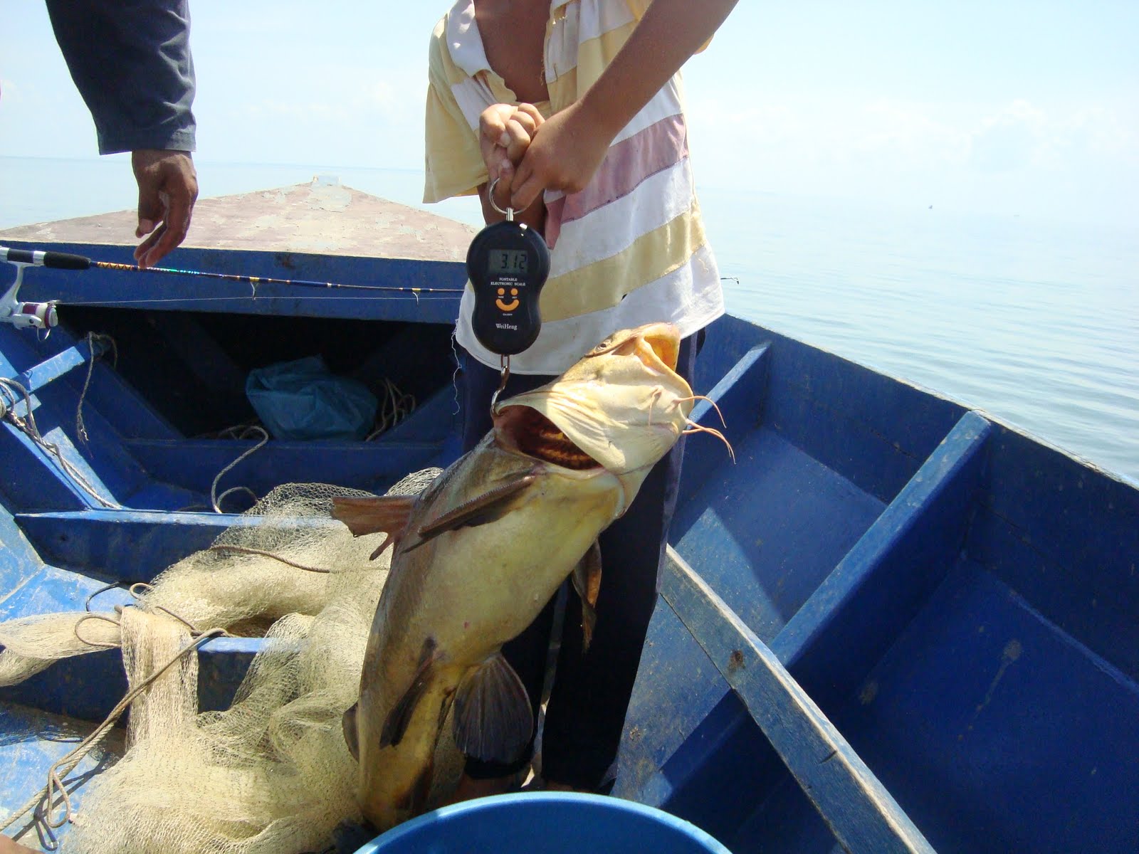 Mancing Sampai Pengsan: MANCING UTIK BERSAMA KDN..