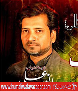 Anwer Ali Nohay 2015 to 2022