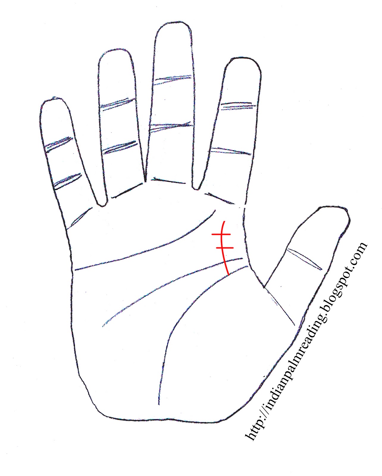 Your Career In Your Hand ~ CAREER LINE ~ INDIAN PALM READING - HAST ...