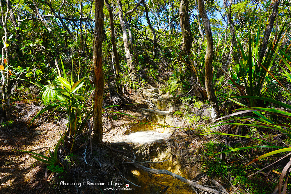 Chemerong Waterfalls＋Gunung Berembun＋Langsir Waterfalls (CBL) 登嘉楼高山瀑布露营 ...