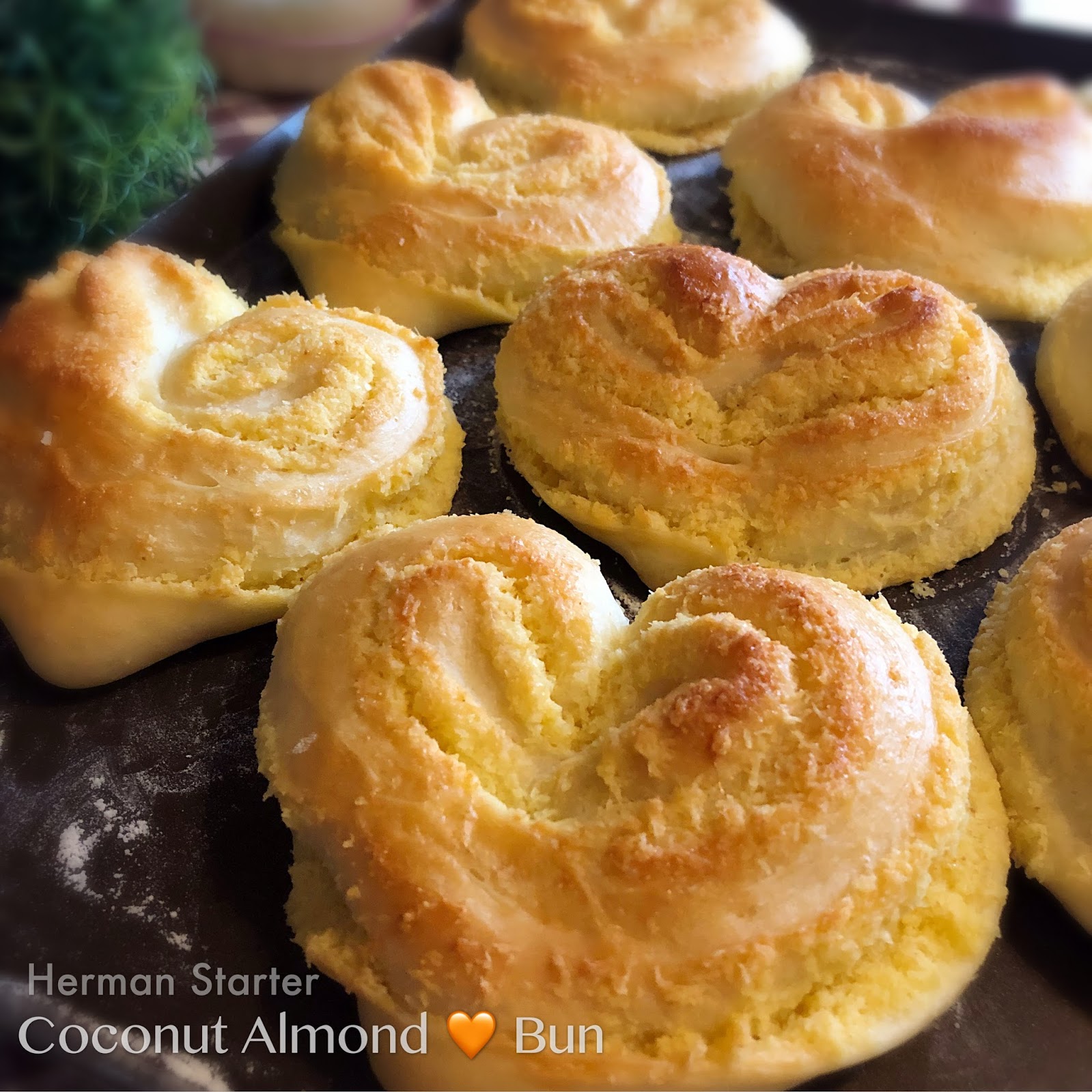 My Mind Patch: Herman - Coconut Almond ♥ Bun