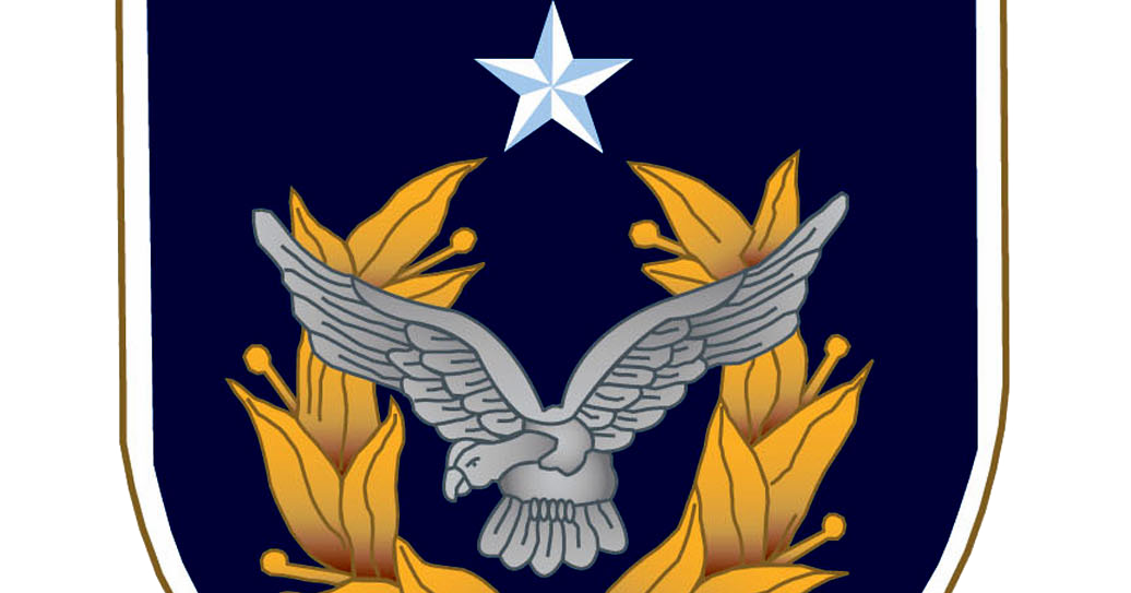 FILANAVAL: FUERZA AÉREA DE CHILE ( FACH ) Historia