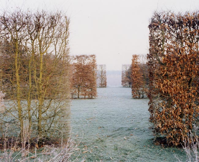 Tulp ja tulp: KAUNIS KODUAED 16 - Vormist (ja stiilist)