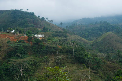 Compassion Can {Beyond Measure}: Cameroon 2012: Heat, Hills, Hike, and ...