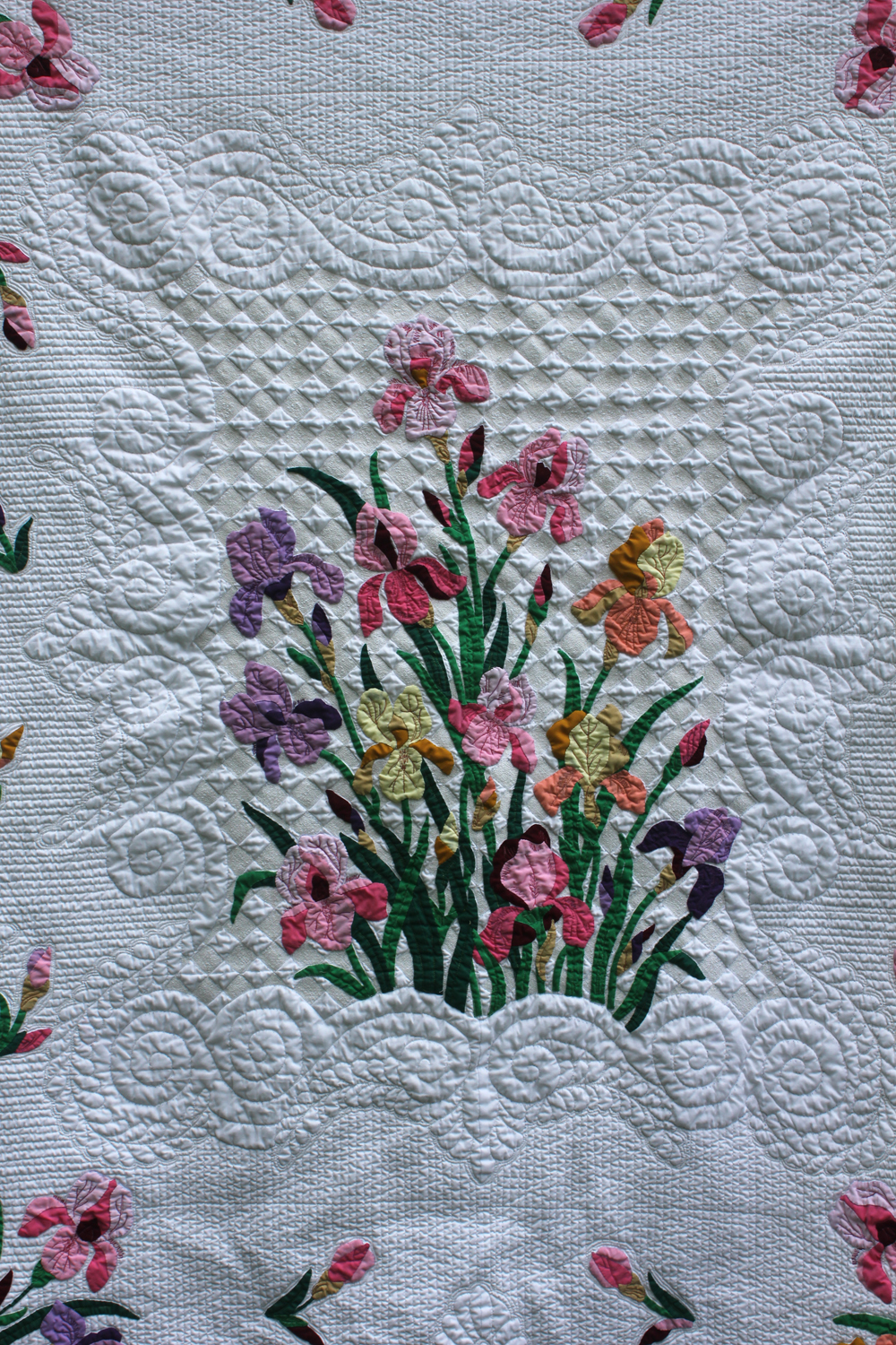 Stitchnquilt: Iris Applique Quilt