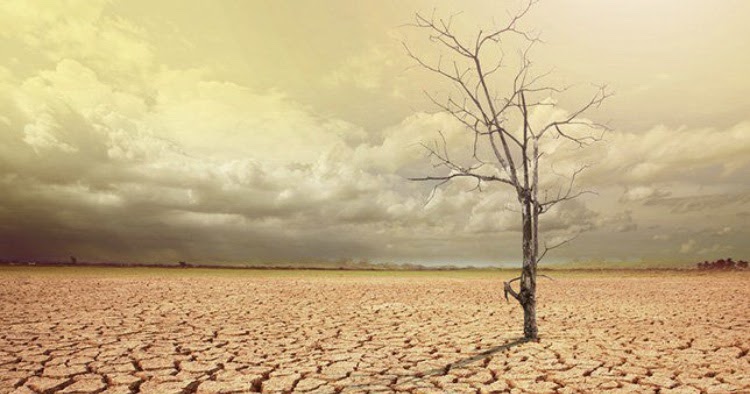 Between Two Trees: Dry Seasons