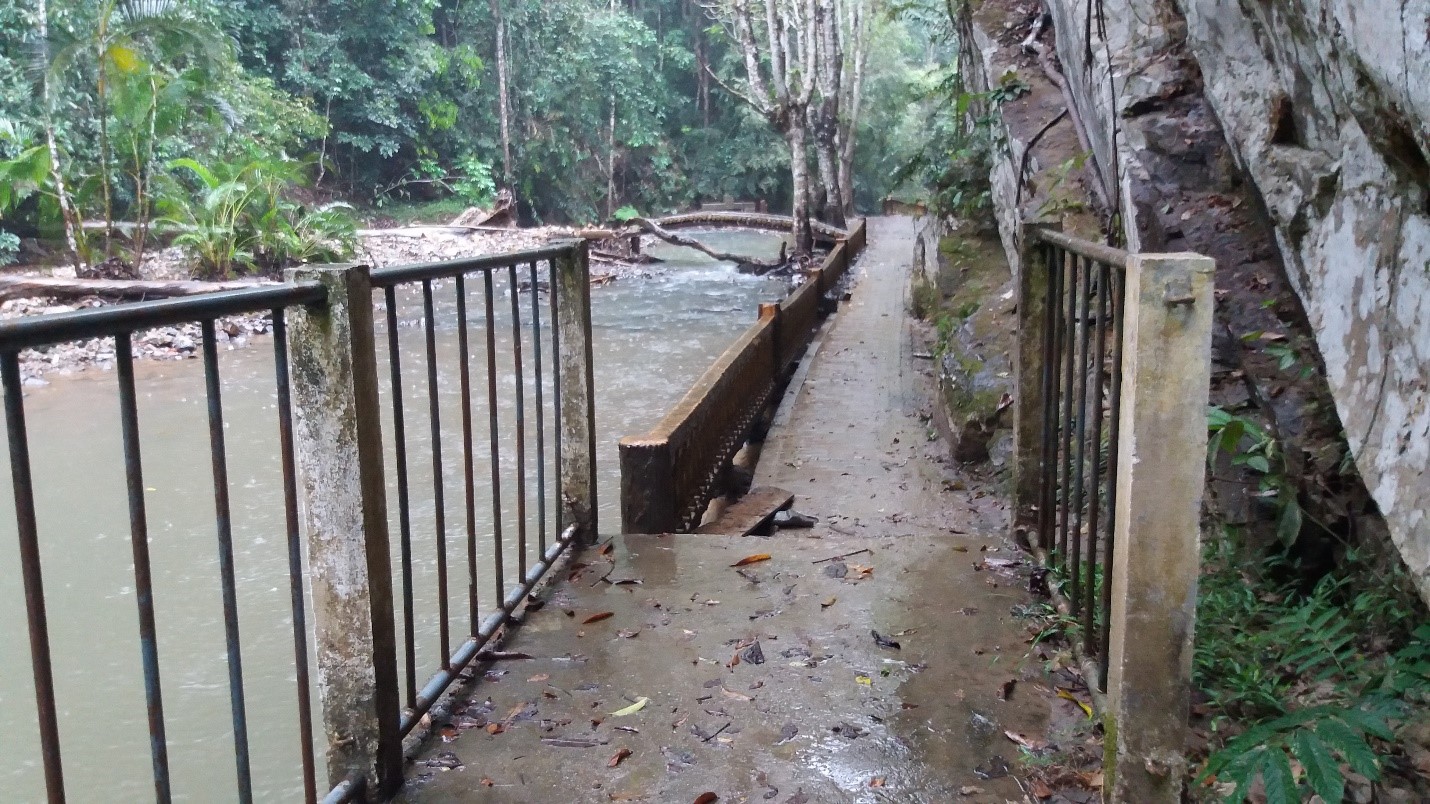 Mohd Faiz bin Abdul Manan: Hutan Lipur Bukit Wang
