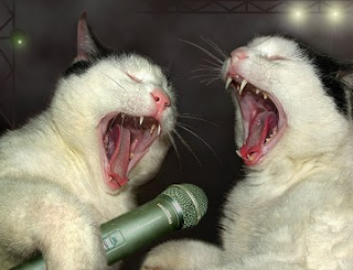 Singing Cats that will make you Smile | Super Meow Meow