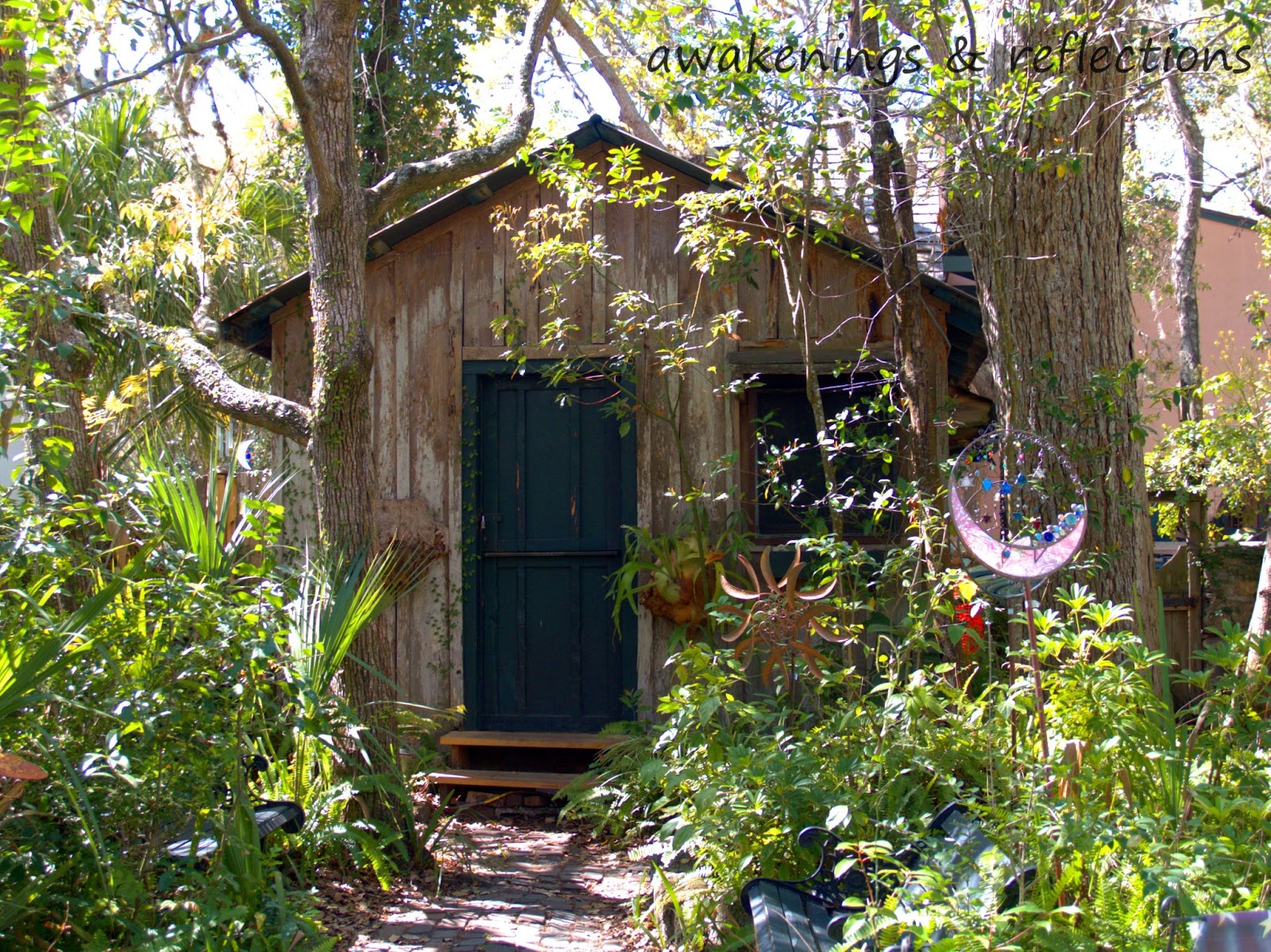 Awakenings and Reflections: Quaint Cottage Reflections