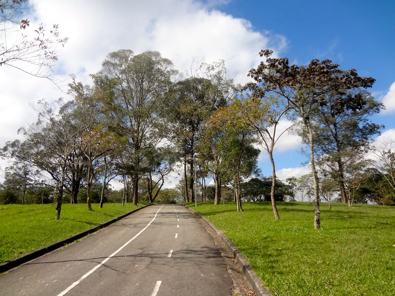 Parque do Carmo - Olavo Egydio Setúbal em São Paulo ~ Áreas Verdes das ...