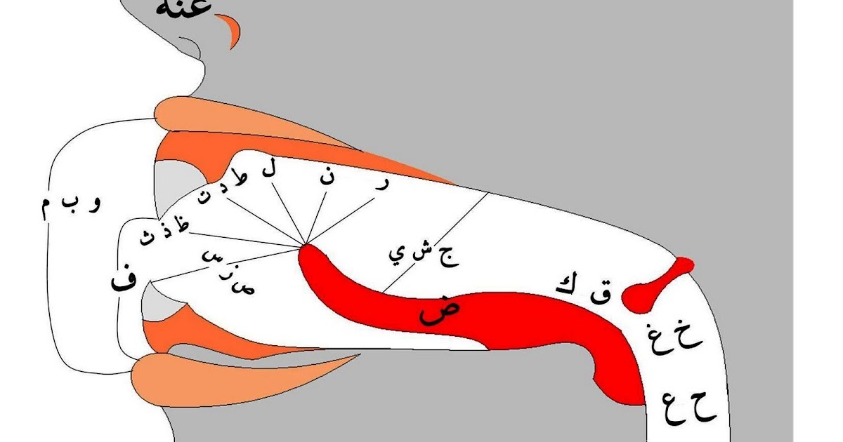 Tajweed notes on makharij