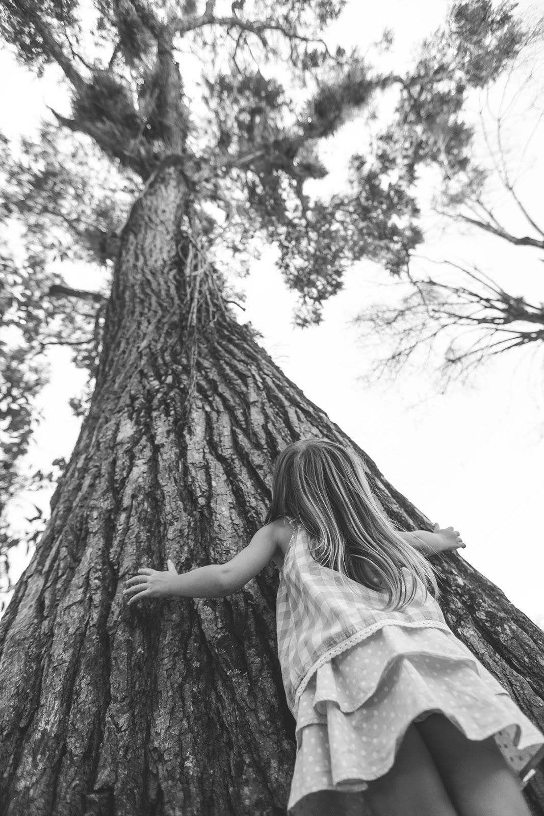 Алине Брант (Aline Brant) фотоработы бразильского художника