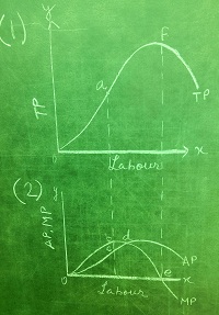 Economics Tutorials: Relation between TP/MP and AP/MP curves