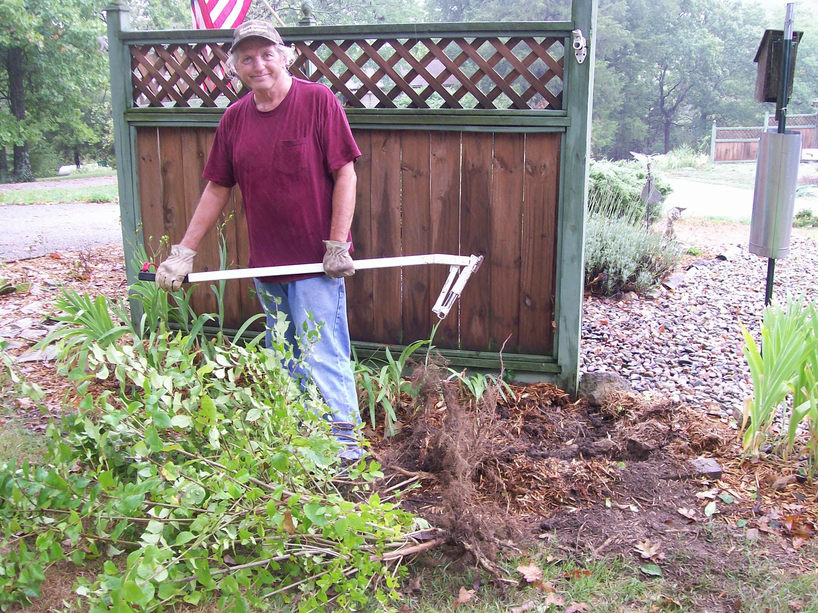 Intuitive Value: Getting Busy in Autumn