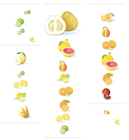 Species New to Science: [Botany • 2018] Genomics of the Origin and ...