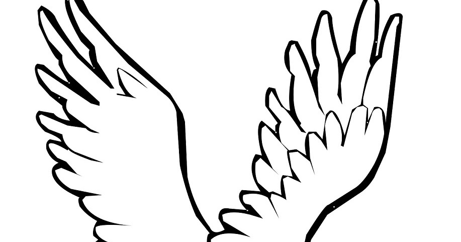 19+ Contoh Sketsa Gambar Burung Garuda