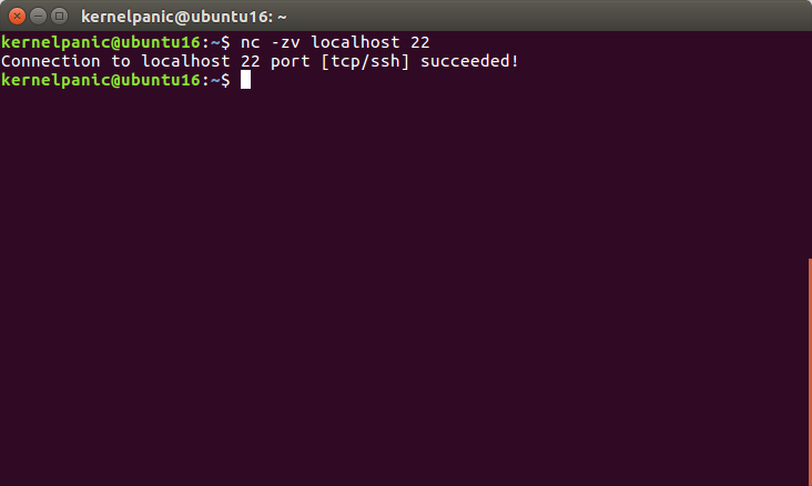 Scan open port using netcat on Ubuntu | New Study Club