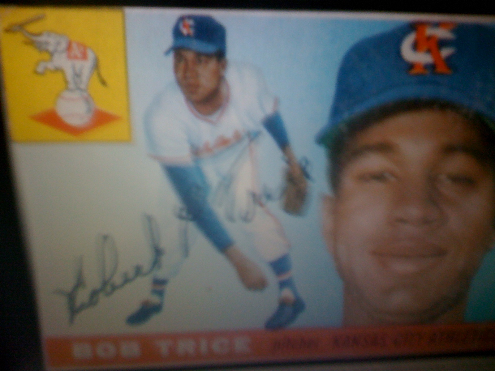 THE BLACK SOCIAL HISTORY:: BLACK SOCIAL HISTORY : AFRICAN AMERICAN A ...