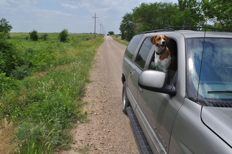 Explore Kansas: An Old Bridge near Leon Kansas