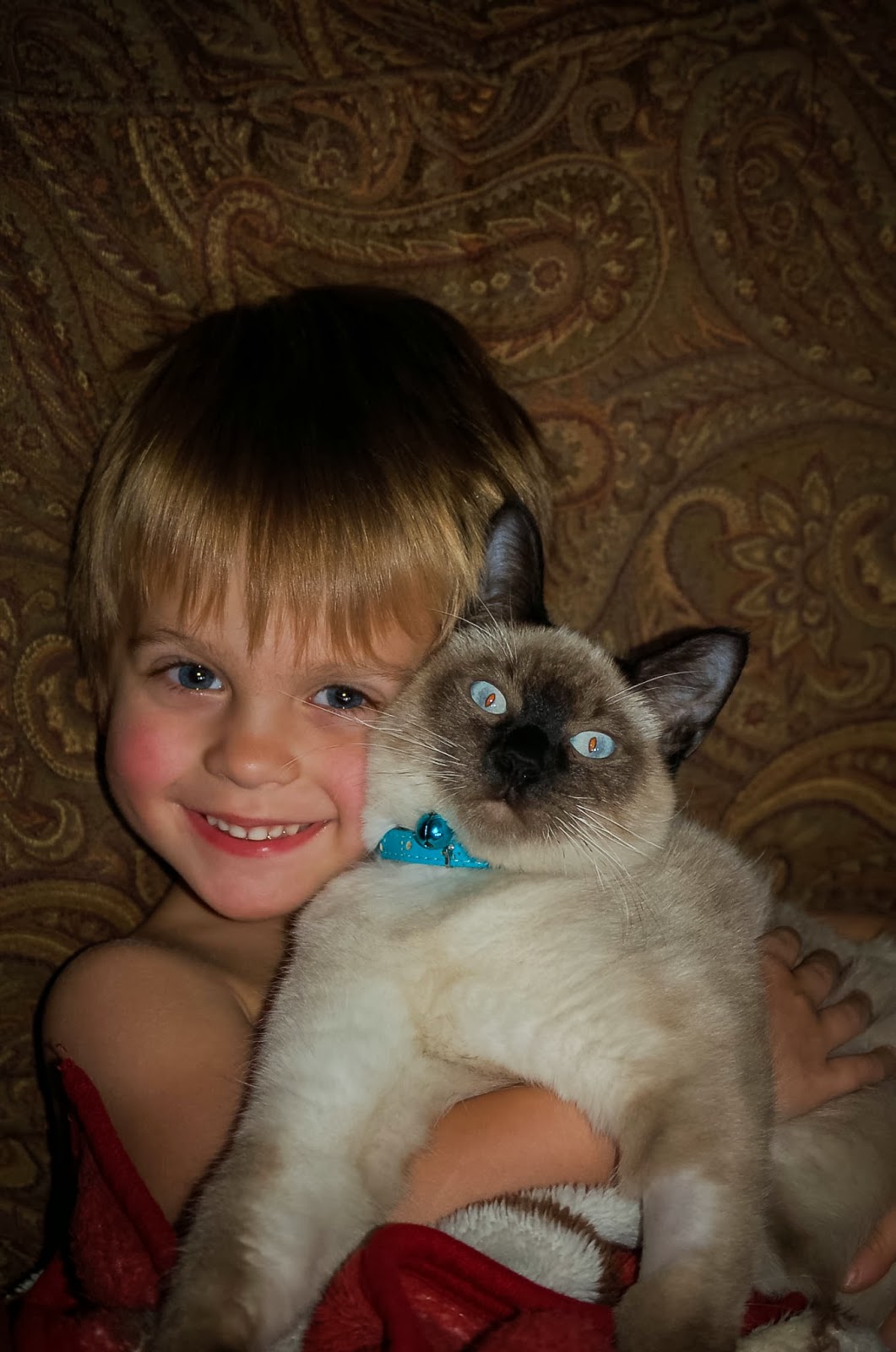 The Buddy Bee Makes Three